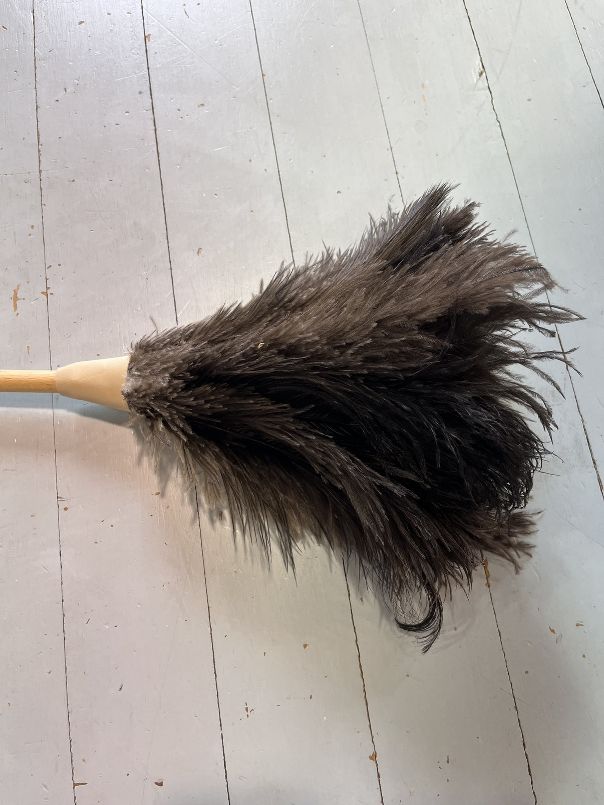Ostrich Feather Duster Beige – The Fabric of Society
